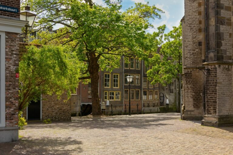 Estinea - begeleidwonenplus.nl